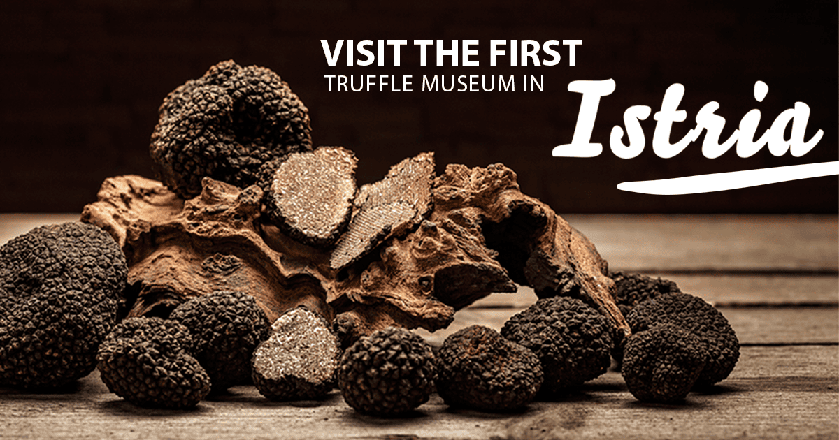 Truffle Museum in Istria - Rocca Riviera